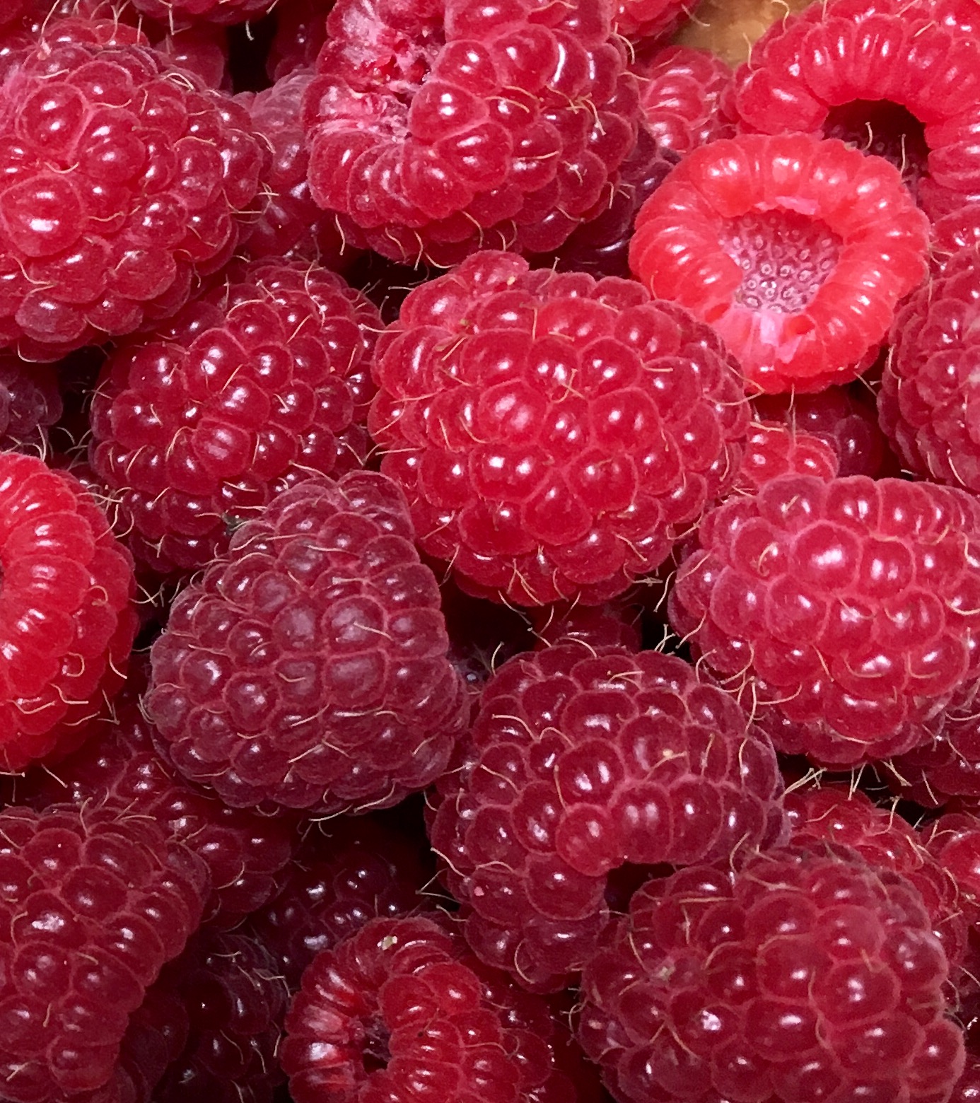 Raspberries: health benefits and buying, storing and eating tips.